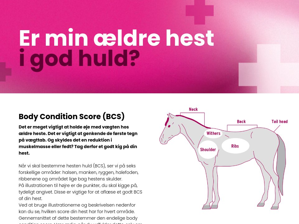 Hvad du kan forvente - Ældre heste