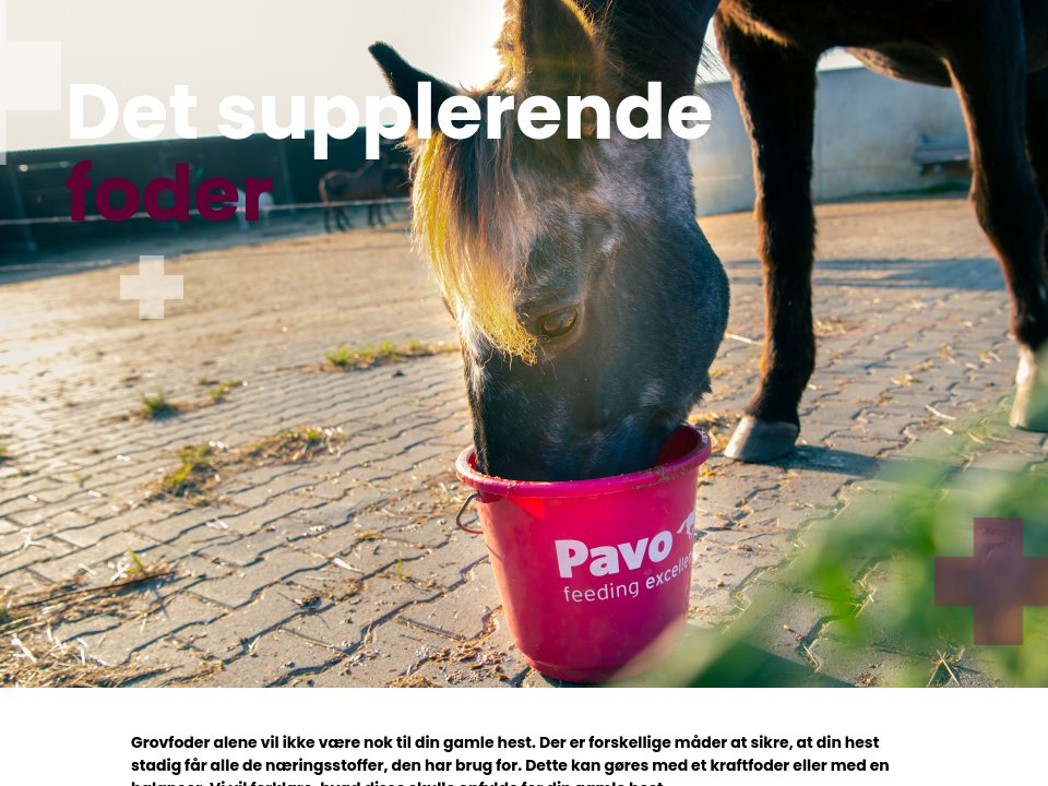 Supplerende foder - Ældre heste