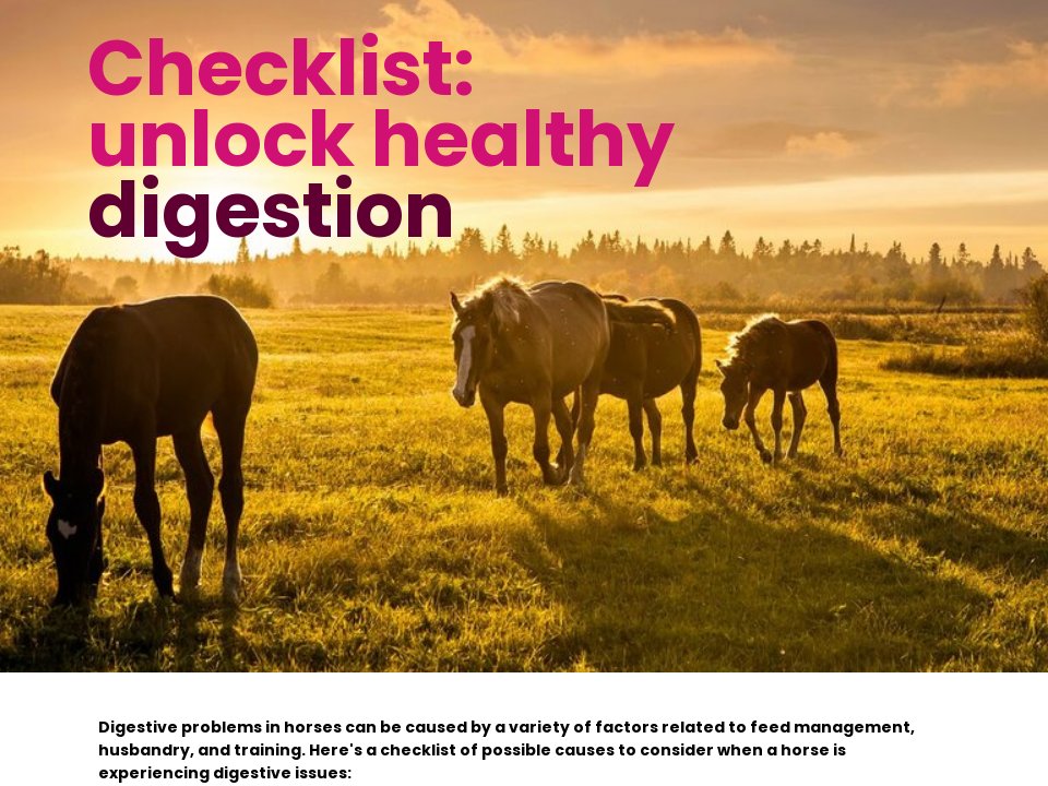 Stop with digestive problems - Digestion