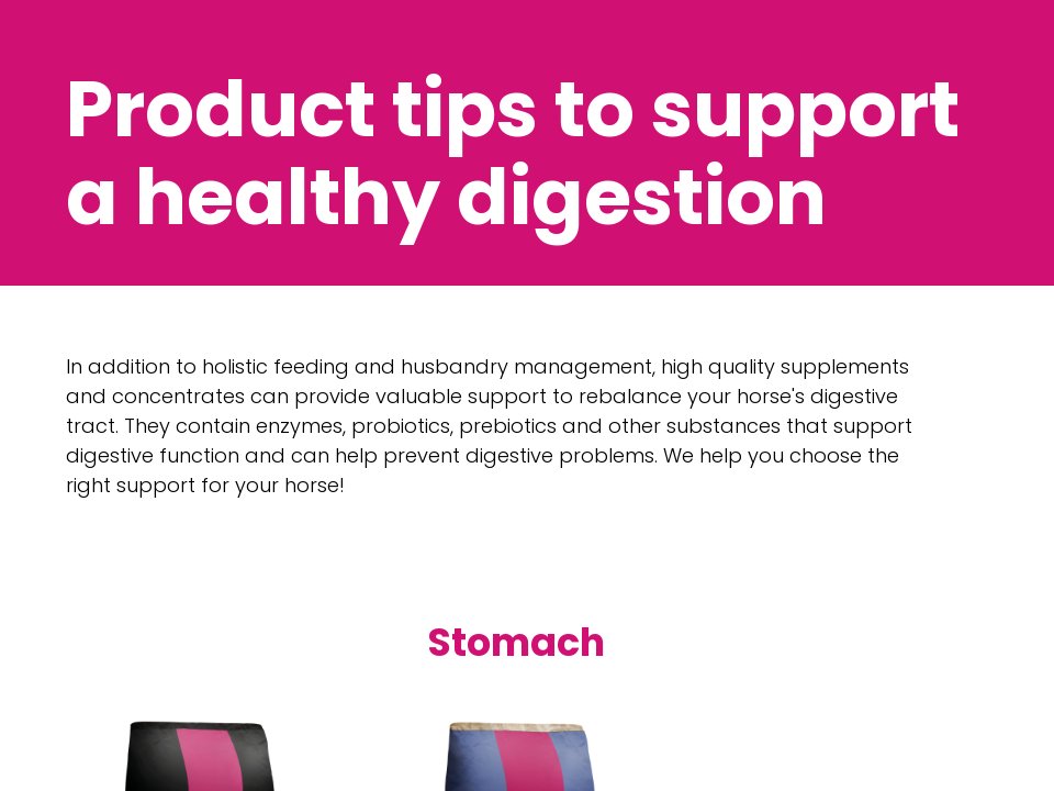 digestive system - Digestion