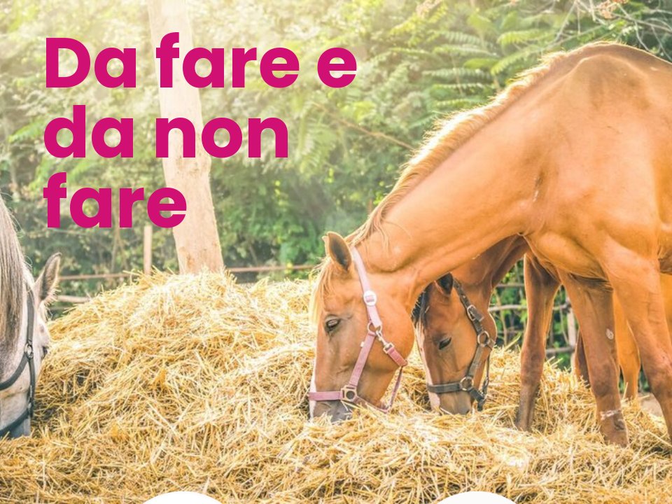 Dì addio ai problemi intestinali - Digestione