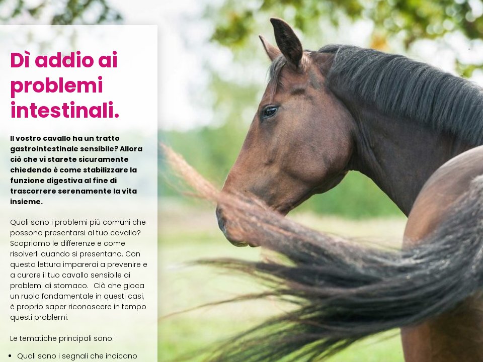 Dì addio ai problemi intestinali - Digestione