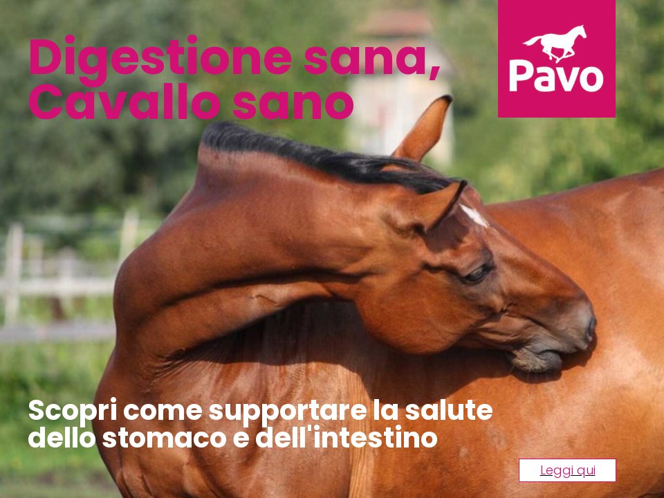 Dì addio ai problemi intestinali - Digestione