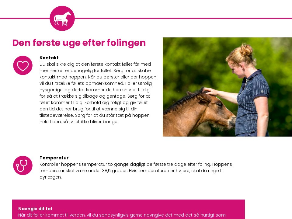 Glade føl - Følguide