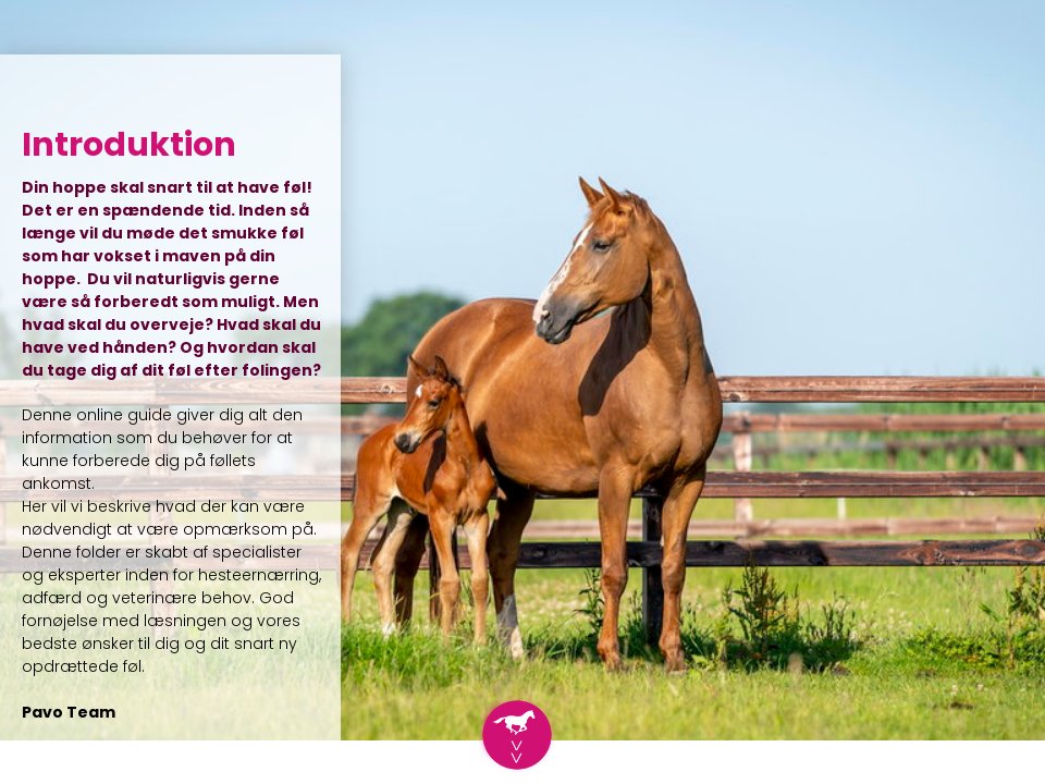 Foderplan til hoppen - Følguide