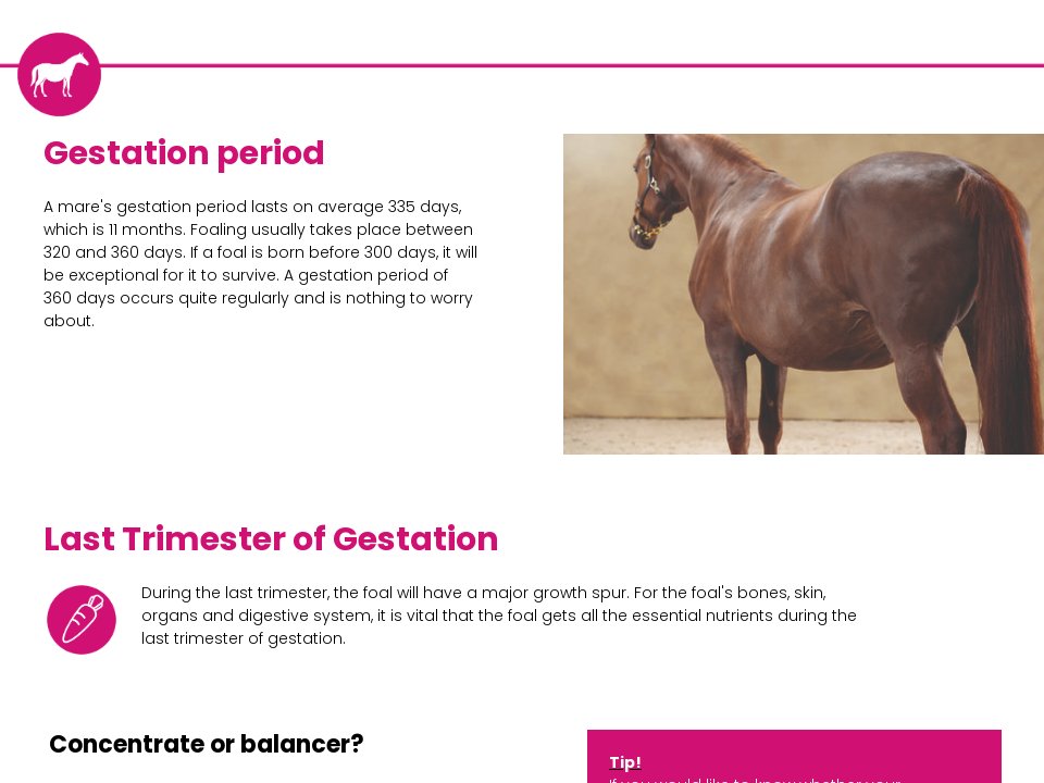 Gestation period - Growing Up Guide