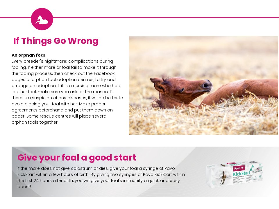 Foal feeding schedule - Growing Up Guide