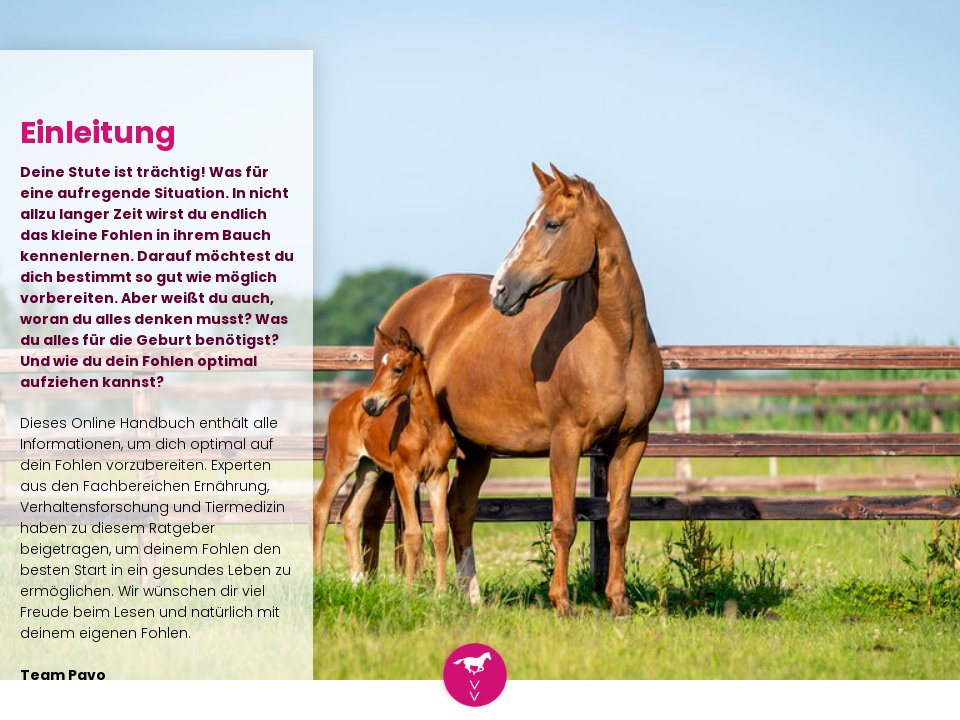 Monate 5-6 - Handbuch zur Fohlenaufzucht