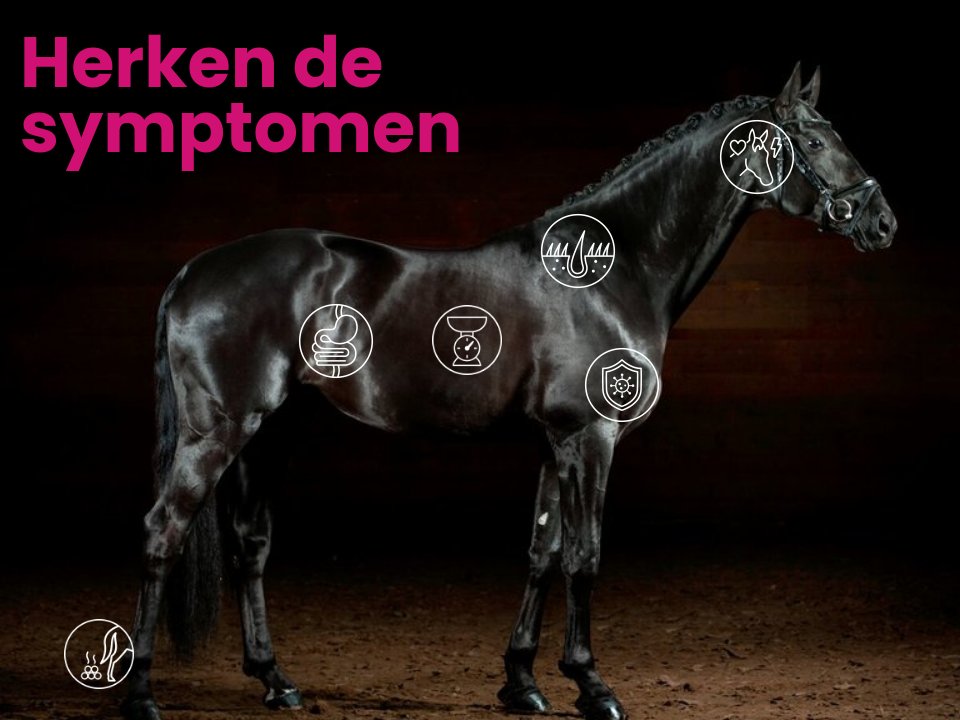 Checklist - Spijsvertering