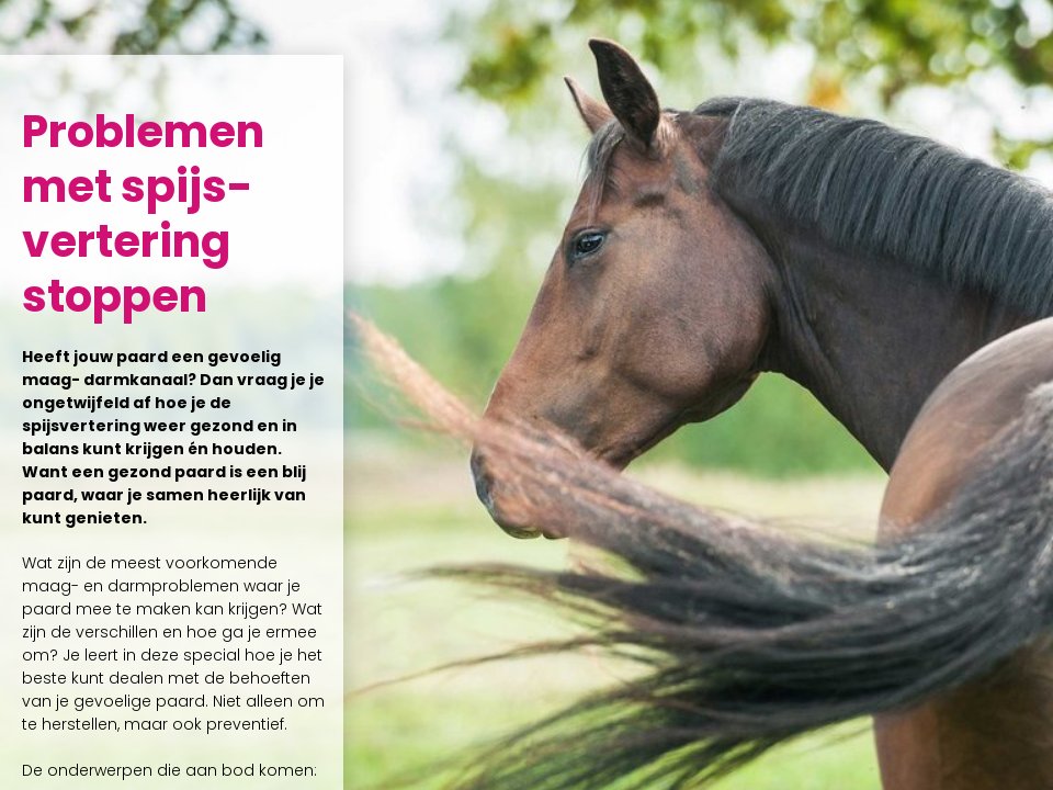 Checklist - Spijsvertering