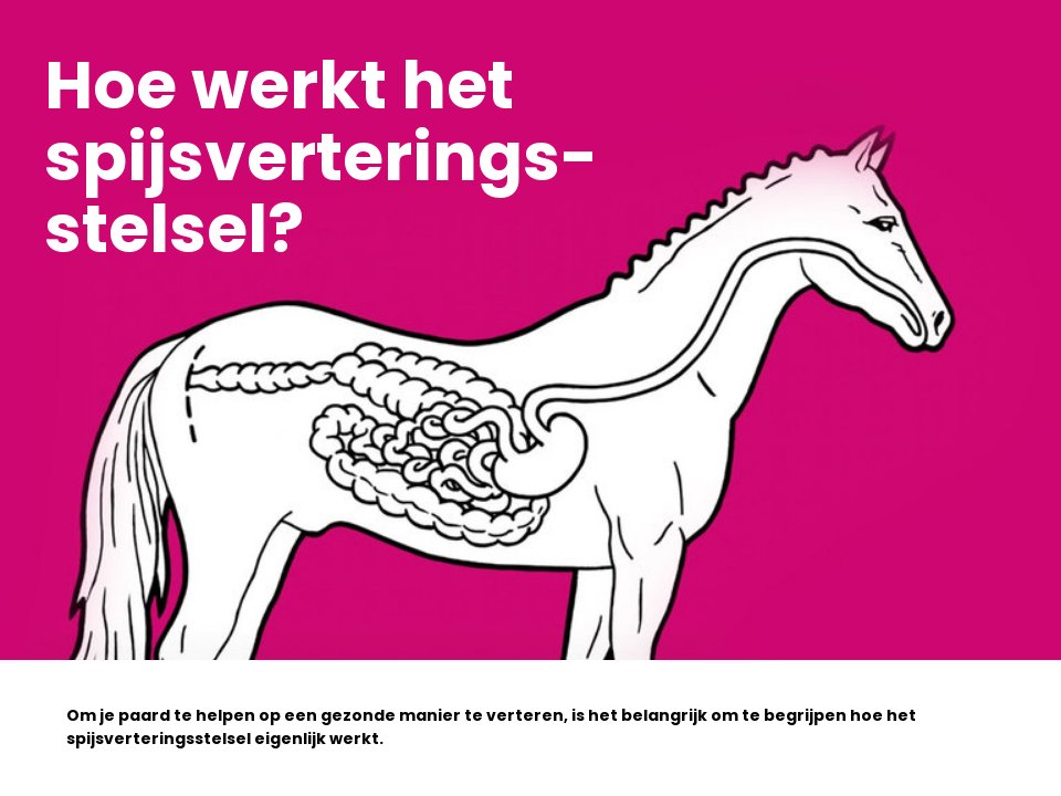 Herken de symptomen - Spijsvertering