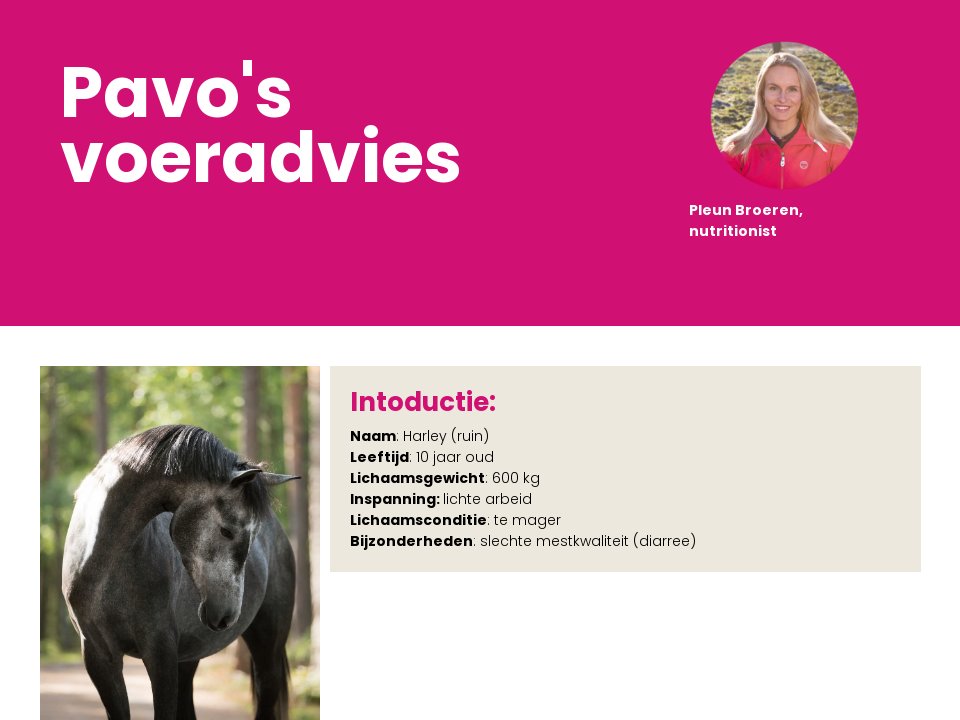 Checklist - Spijsvertering